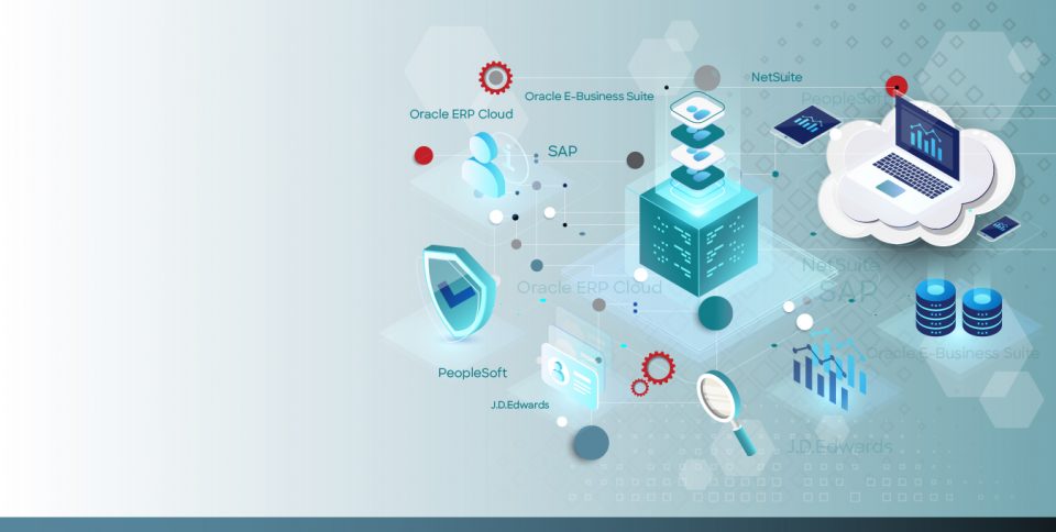 Examples of custom roles in Oracle ERP Cloud - Security Boulevard