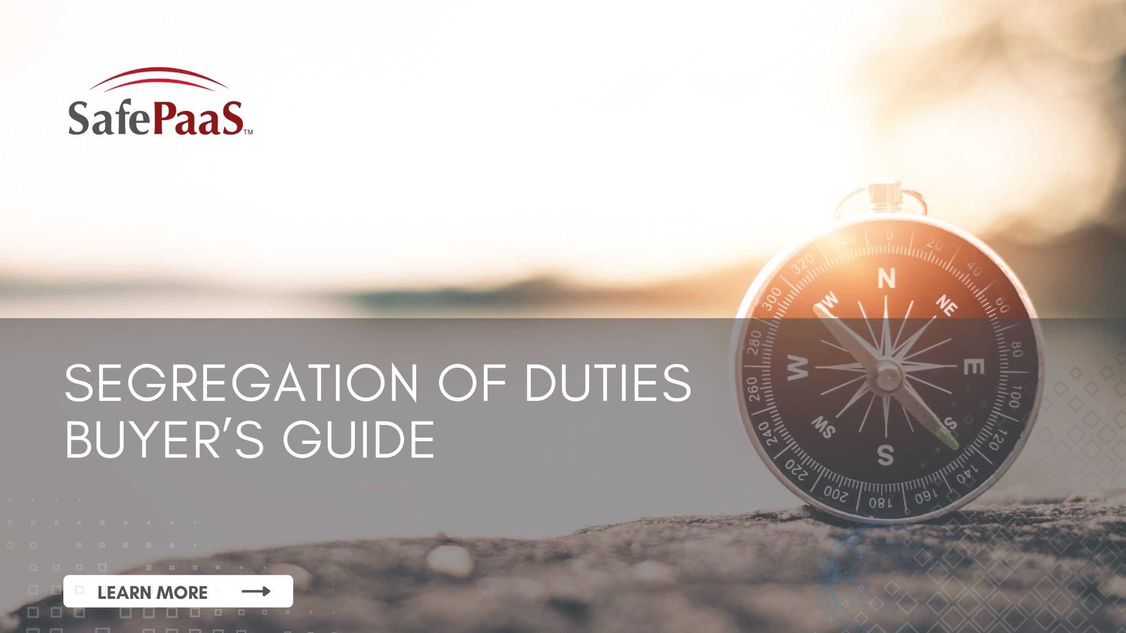 Segregation of Duties Buyer's Guide - SafePaaS