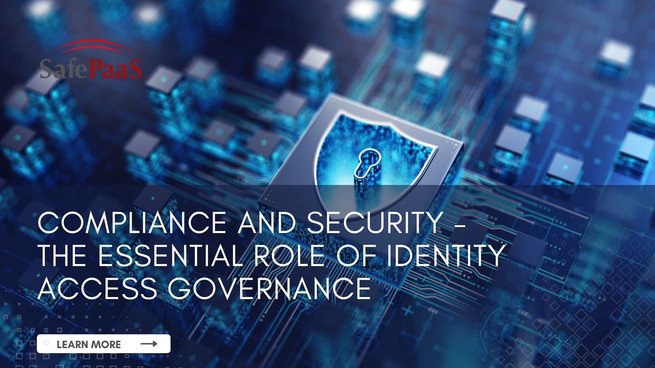 The Essential Role of Identity Access Governance - SafePaaS